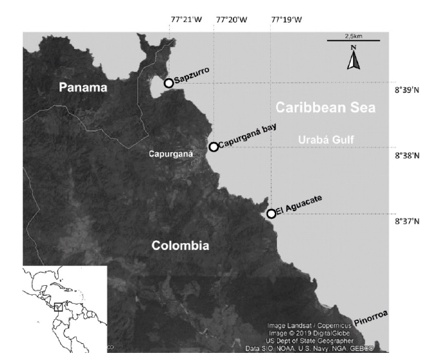 An updated reef fish checklist of the southernmost Caribbean reef ...
