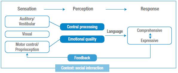 Auditory, visual and proprioceptive integration as a substrate of ...